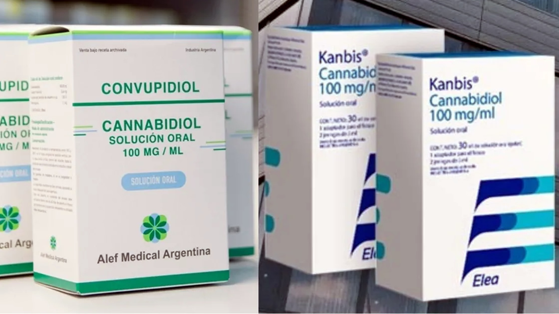 El Ministerio de Salud presentó el programa de acceso al cannabis ...